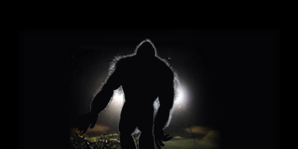 15 Incredible Bigfoot Sightings of the 21st Century (with Map ...